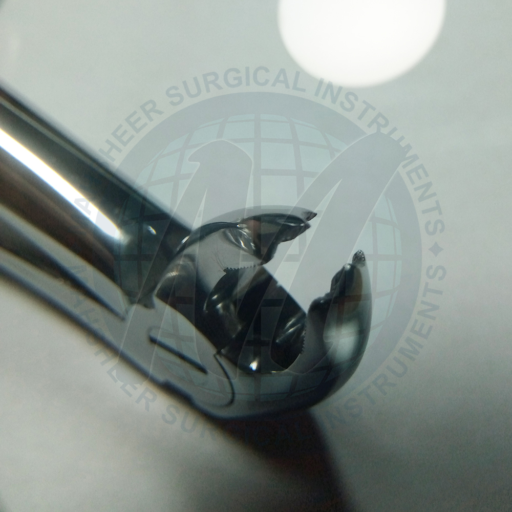 Dental Forceps | Surgical Extraction | Teeth Surgery | MSI