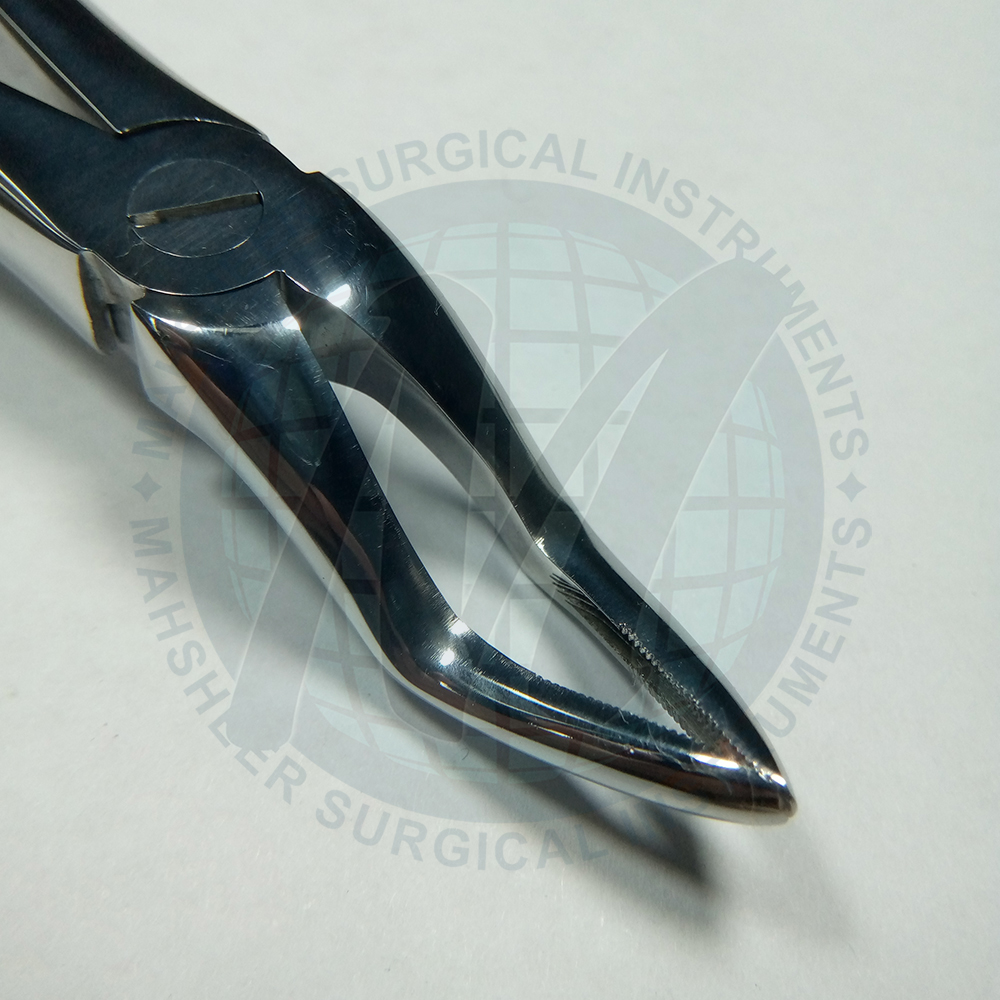Dental Forceps | Surgical Extraction | Teeth Surgery | MSI